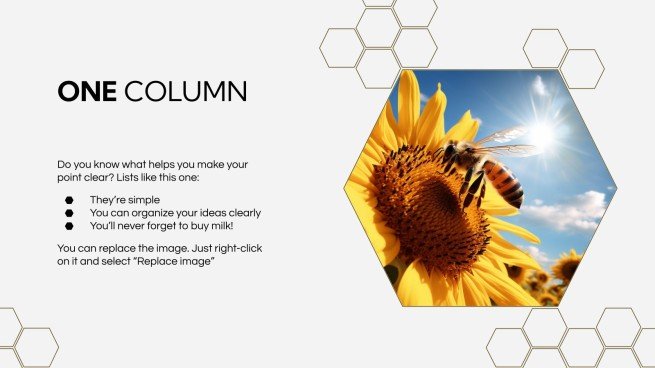 Bee Pollination Services Company Profile Presentation