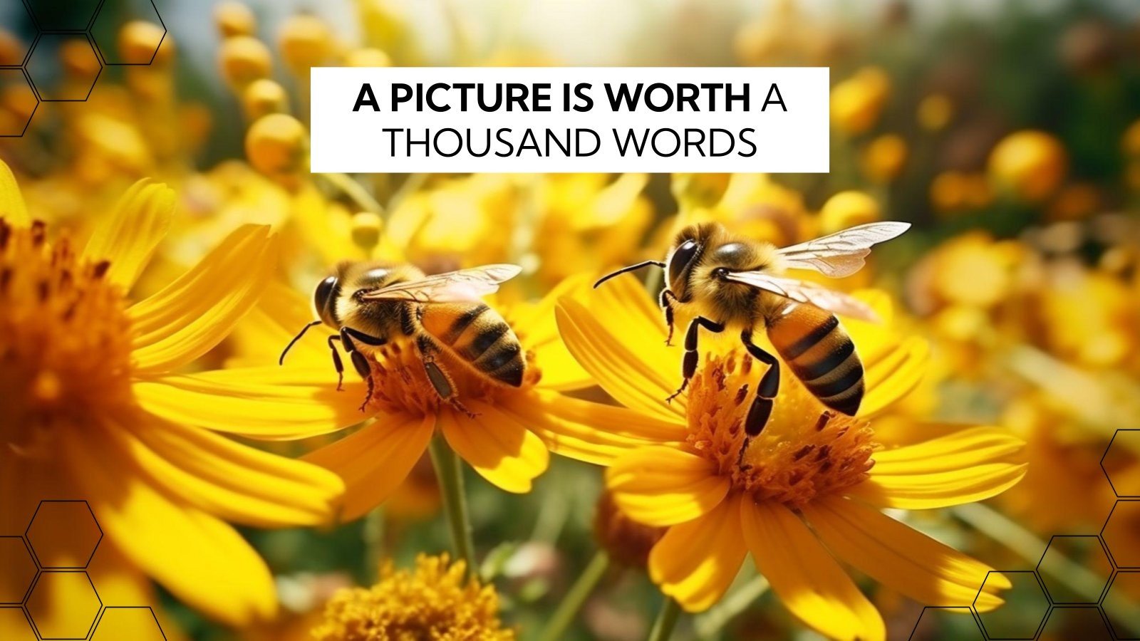 Bee Pollination Services Company Profile Presentation