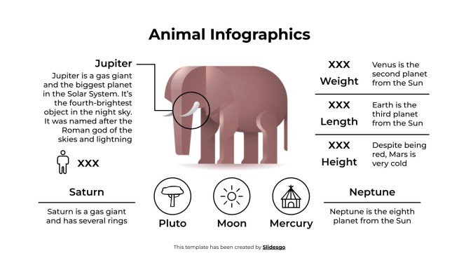 Animal Infographics Template