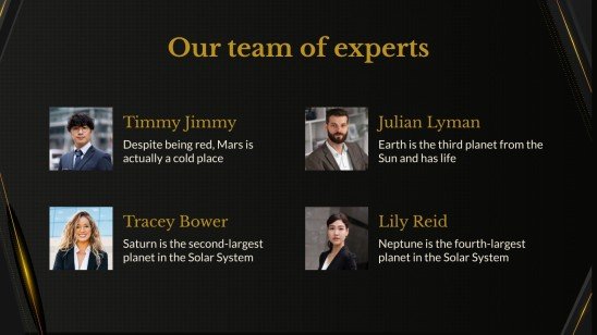 Formal Conference Style Presentation