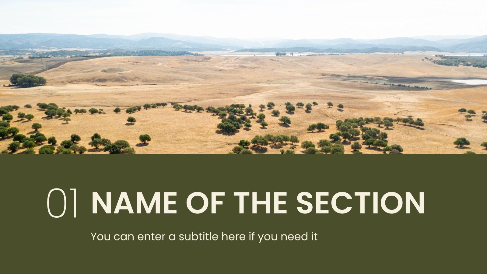 Preserving Estuaries Worldwide Presentation