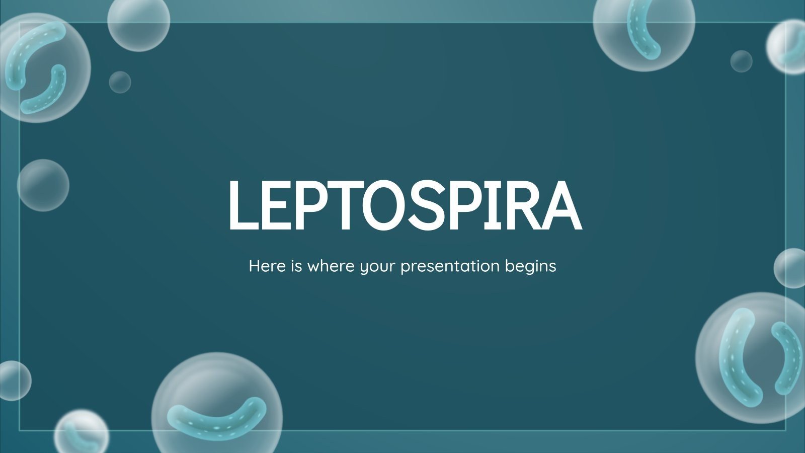 Leptospira Presentation