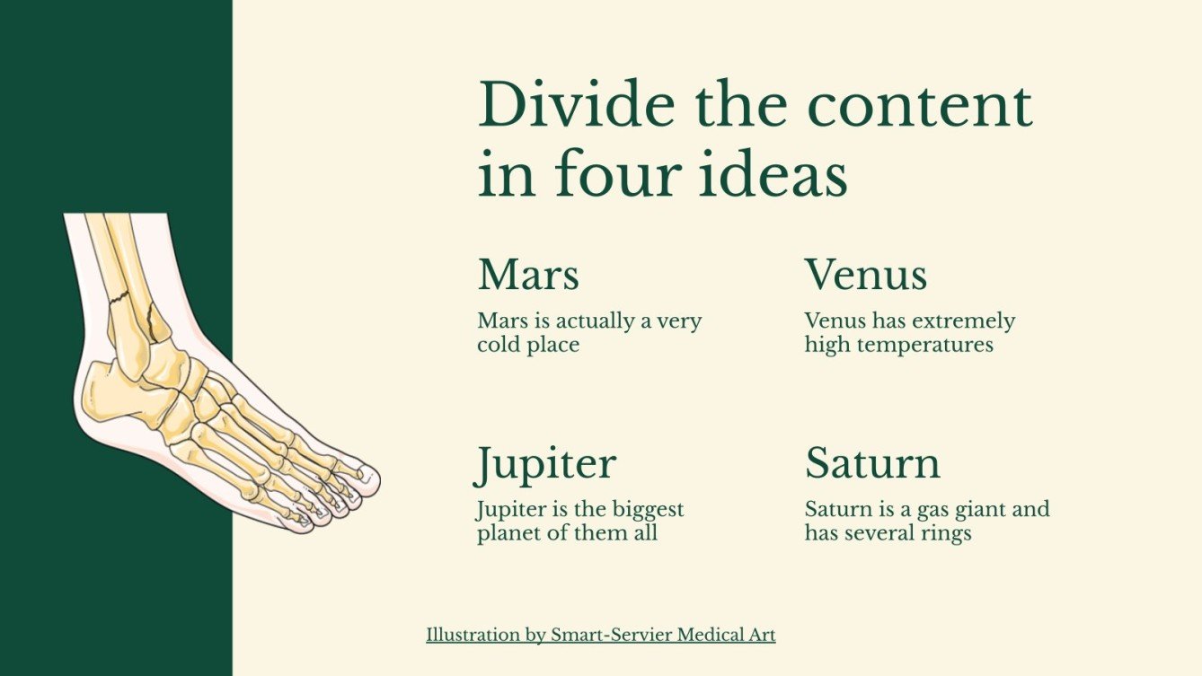 Anatomy and Functioning of the Locomotor System Presentation