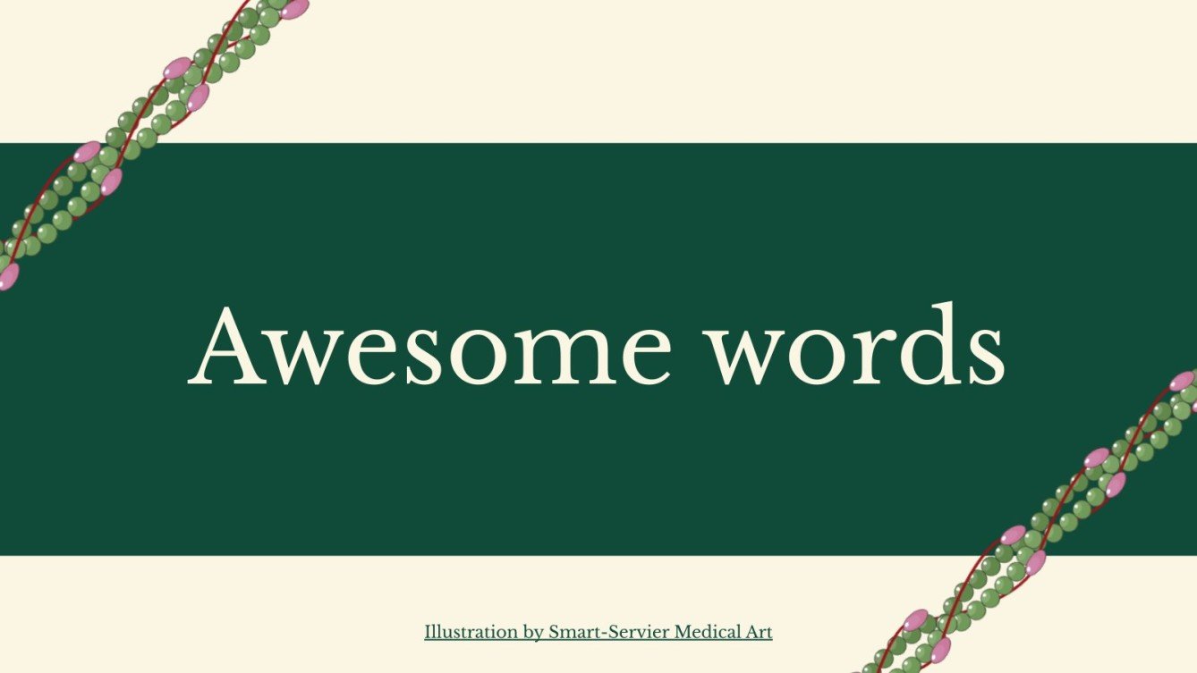 Anatomy and Functioning of the Locomotor System Presentation