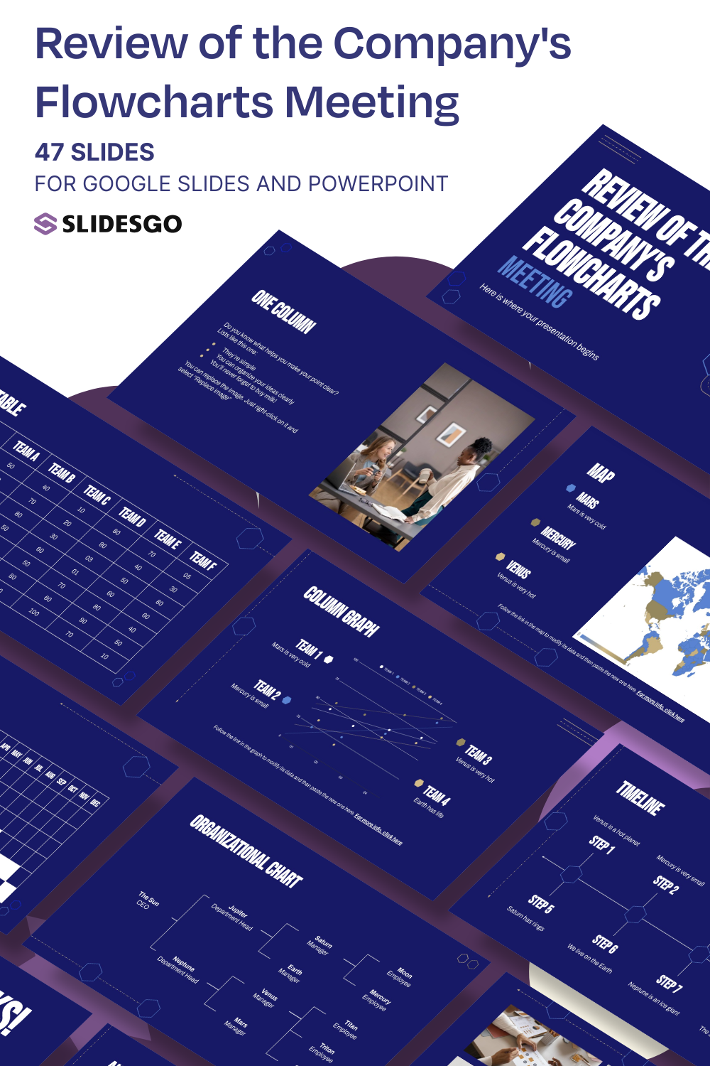 Review of the Company's Flowcharts Meeting Presentation