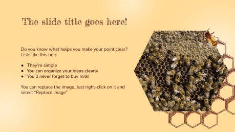 Bee Honeycomb Pattern Presentation