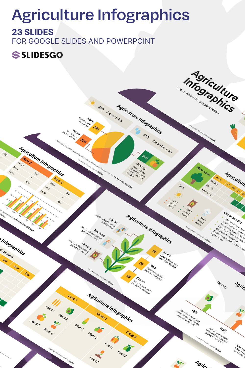 Agriculture Infographics Template