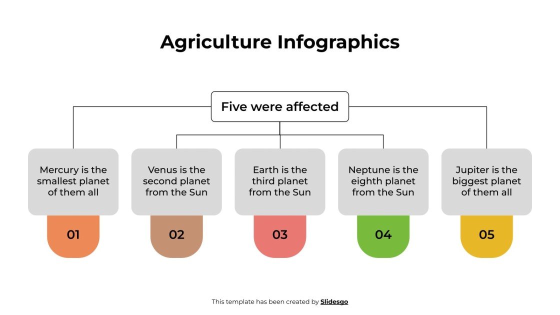 Agriculture Infographics Template