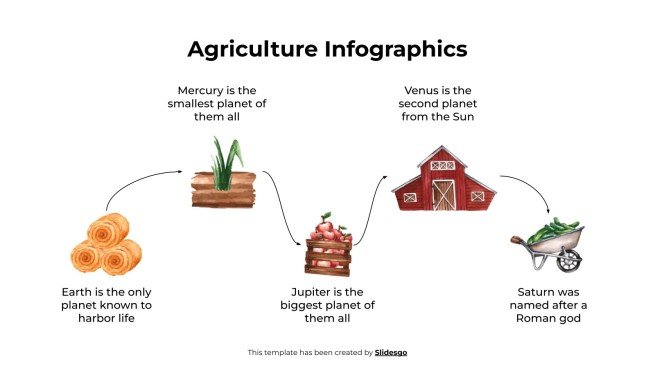 Agriculture Infographics Template