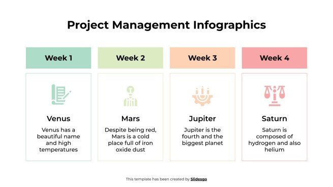 Project Management Infographics Template