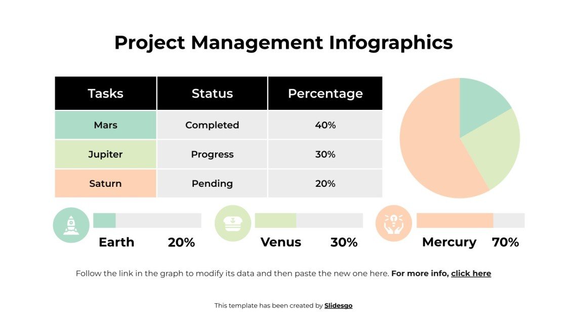 Project Management Infographics Template