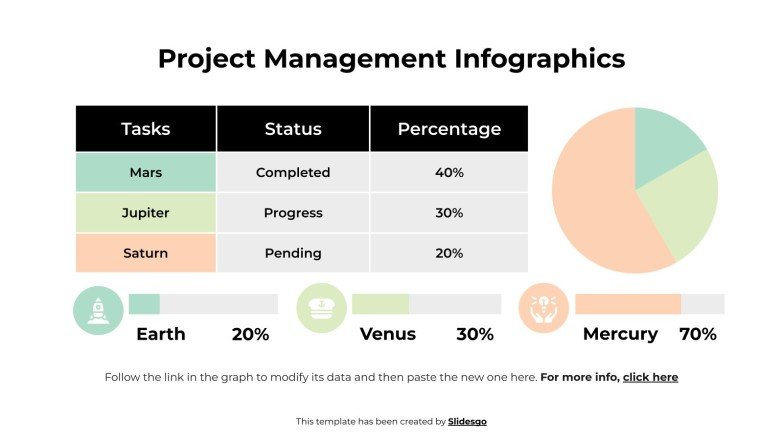 Project Management Infographics Template
