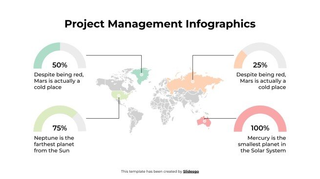 Project Management Infographics Template