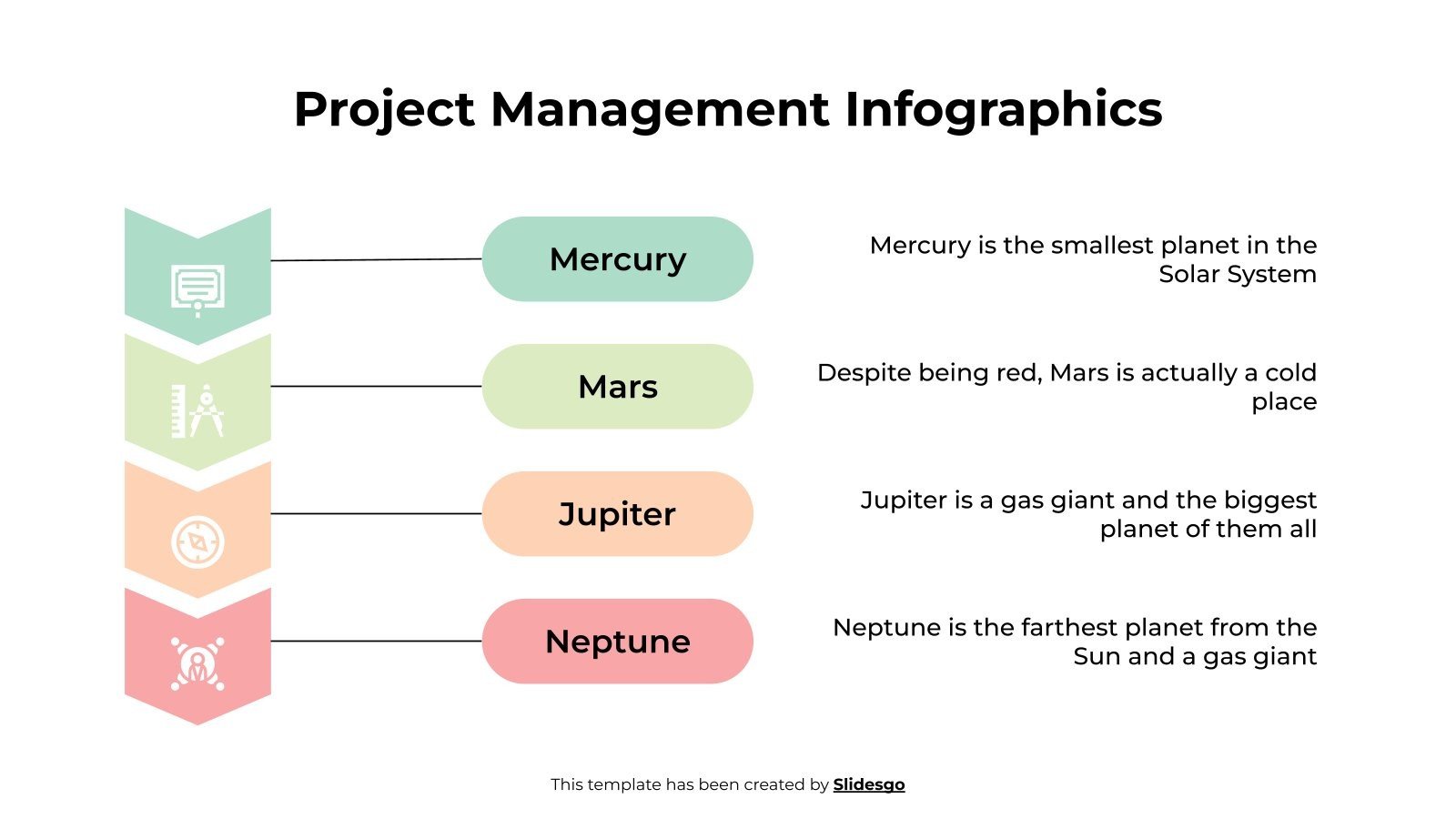 Project Management Infographics Template