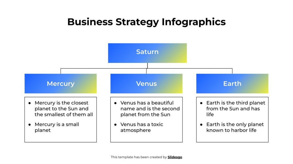 Professional Business Strategy Infographic Template