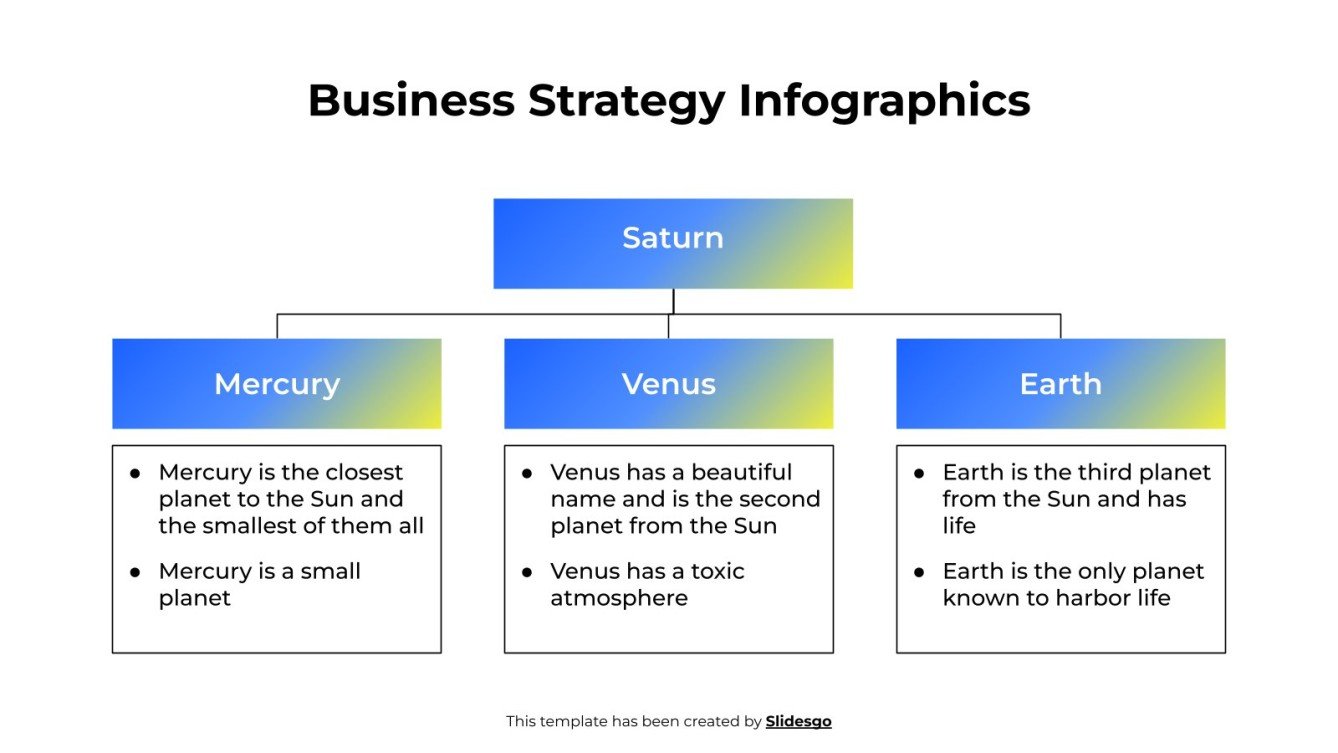 Professional Business Strategy Infographic Template