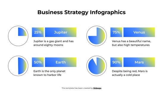 Professional Business Strategy Infographic Template