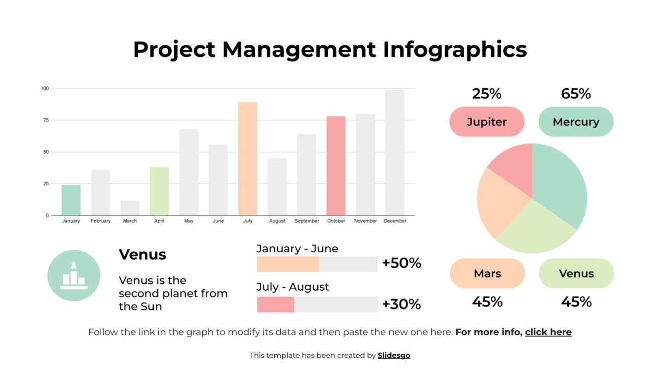Project Management Infographics Template