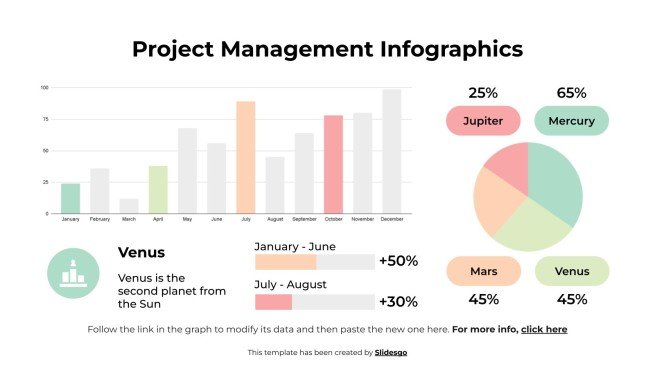 Project Management Infographics Template