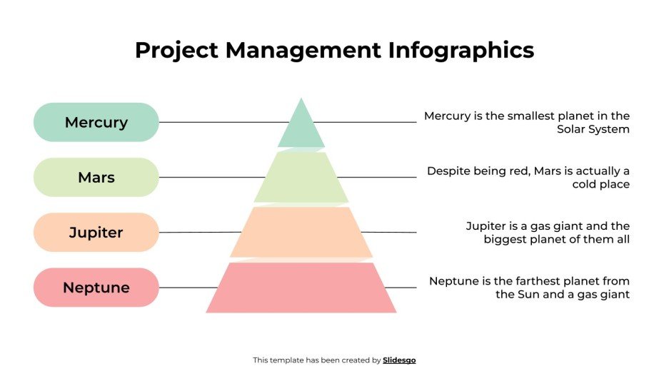Project Management Infographics Template