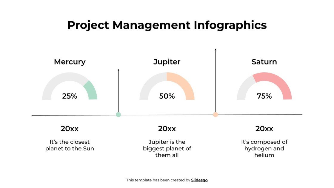 Project Management Infographics Template