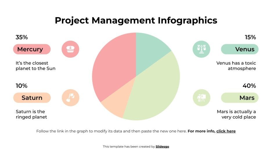 Project Management Infographics Template