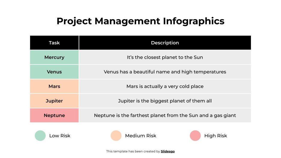 Project Management Infographics Template