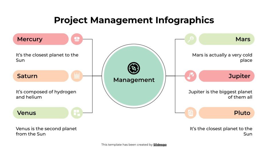 Project Management Infographics Template