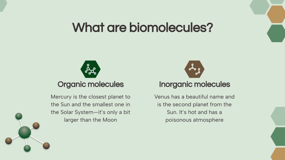 Biochemistry and Biomolecules - Science - 9th Grade