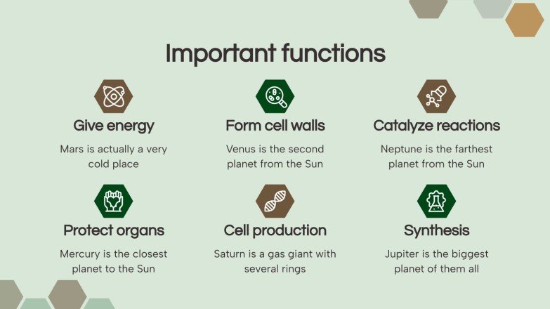 Biochemistry and Biomolecules - Science - 9th Grade