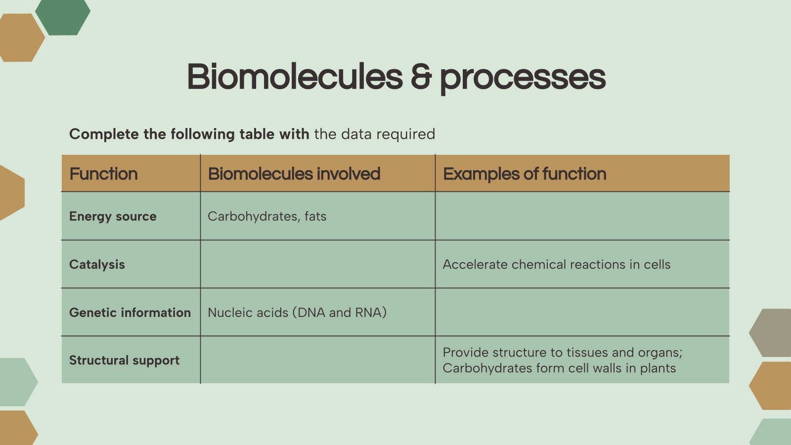 Biochemistry and Biomolecules - Science - 9th Grade