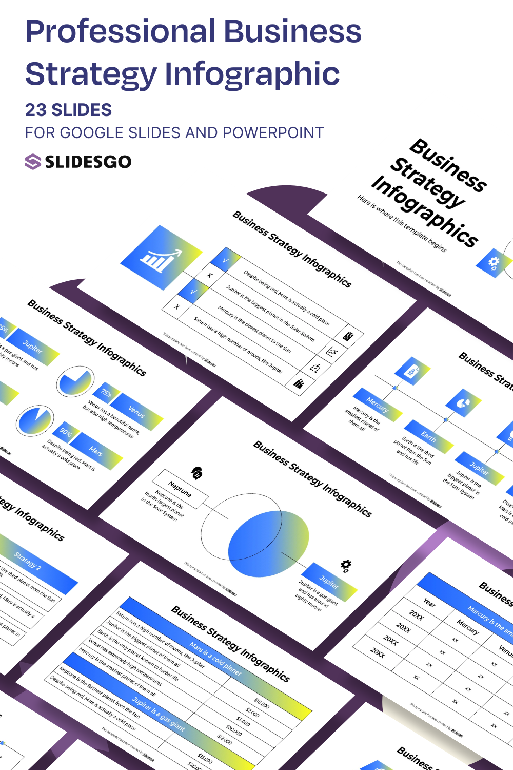 Professional Business Strategy Infographic Template