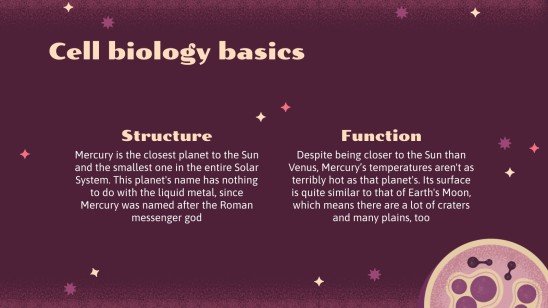 Anatomy and Physiology Major for College: Cell Biology