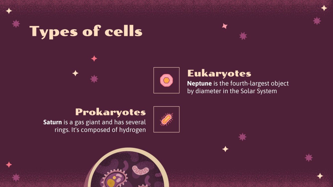 Anatomy and Physiology Major for College: Cell Biology