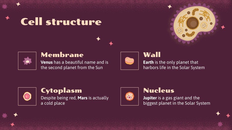 Anatomy and Physiology Major for College: Cell Biology