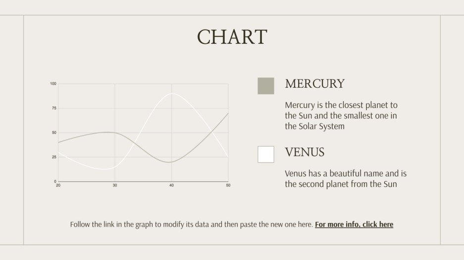 Elegant Conference Style Presentation