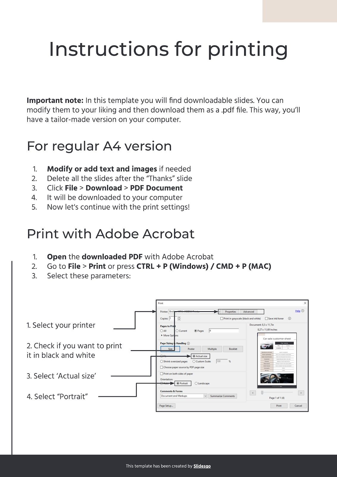Product Data Sheet Design Presentation