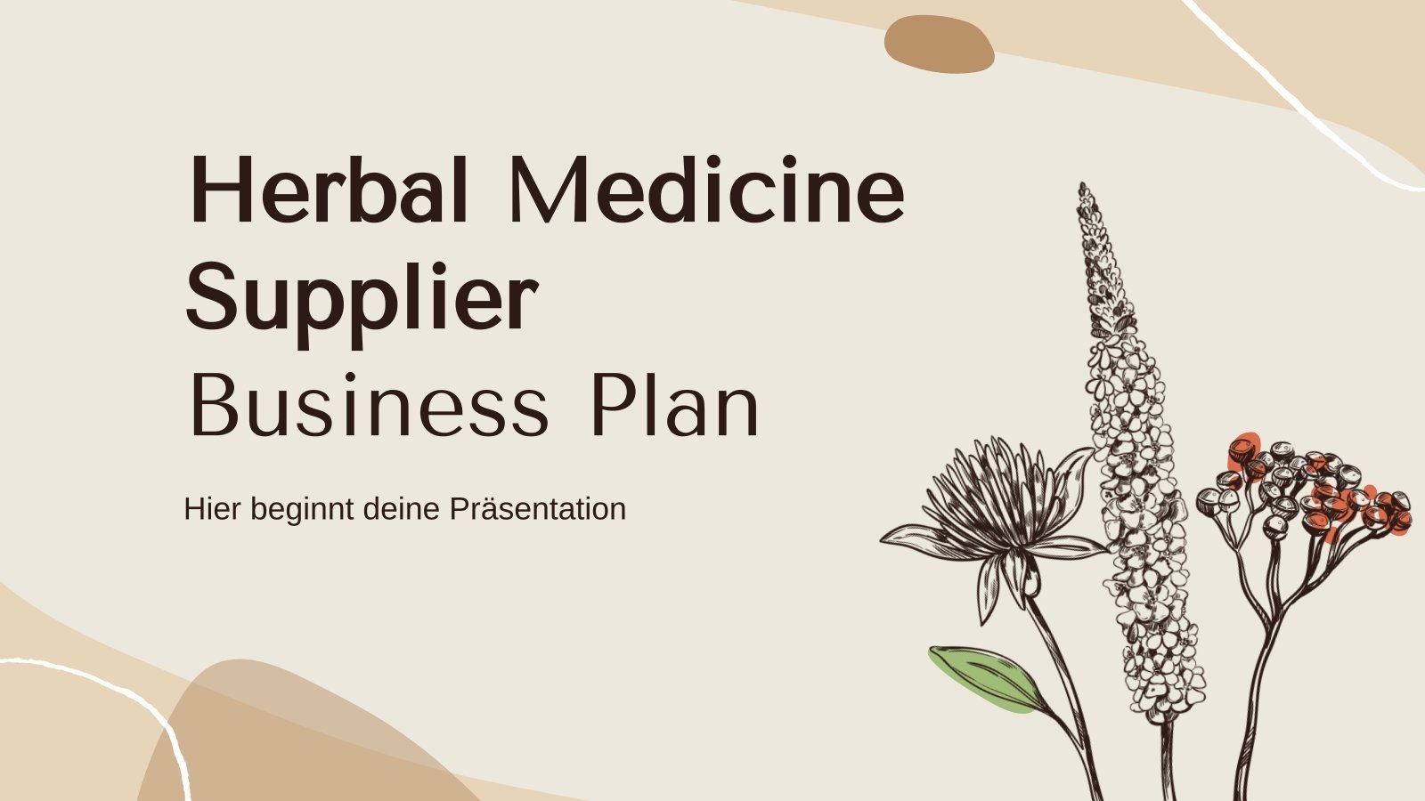 Herbal Medicine Supplier Business Plan Presentation