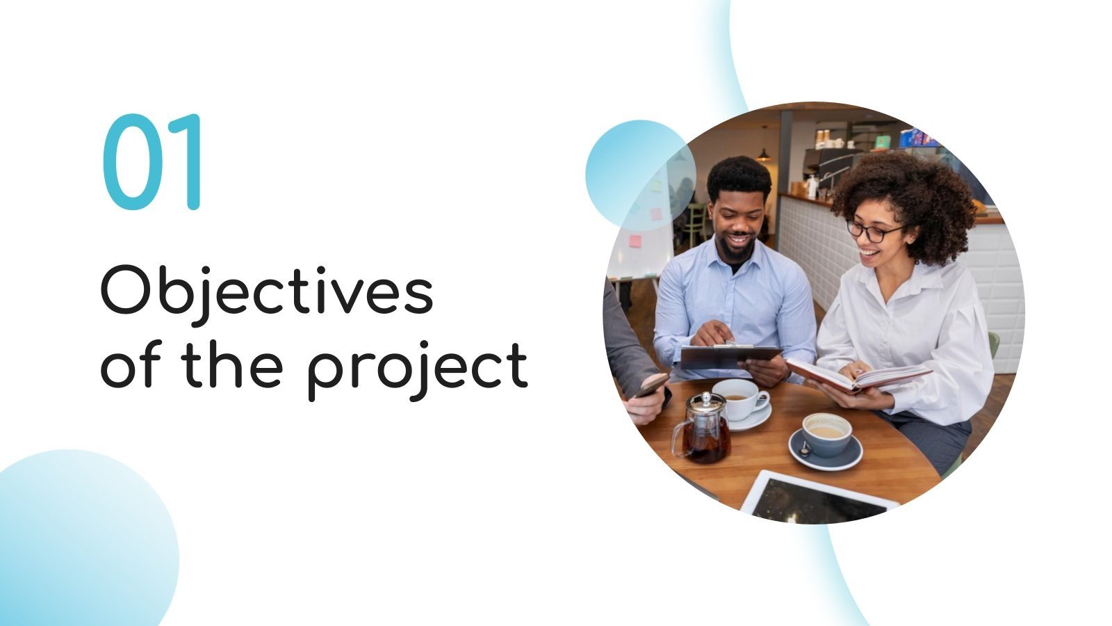 Rollout Plan Proposal Presentation