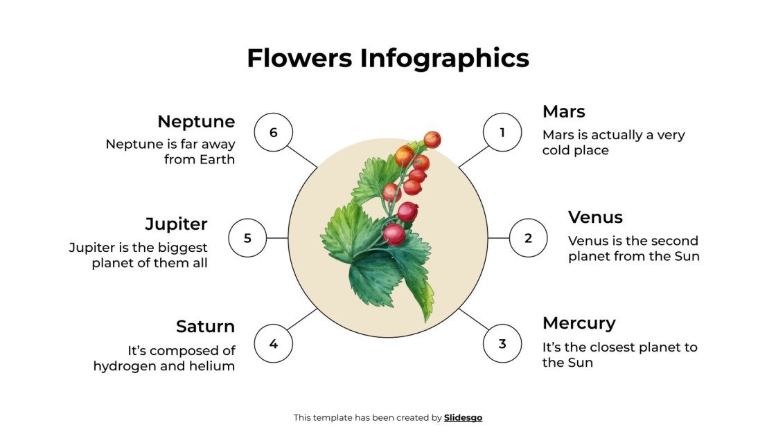 Flowers Infographics Template