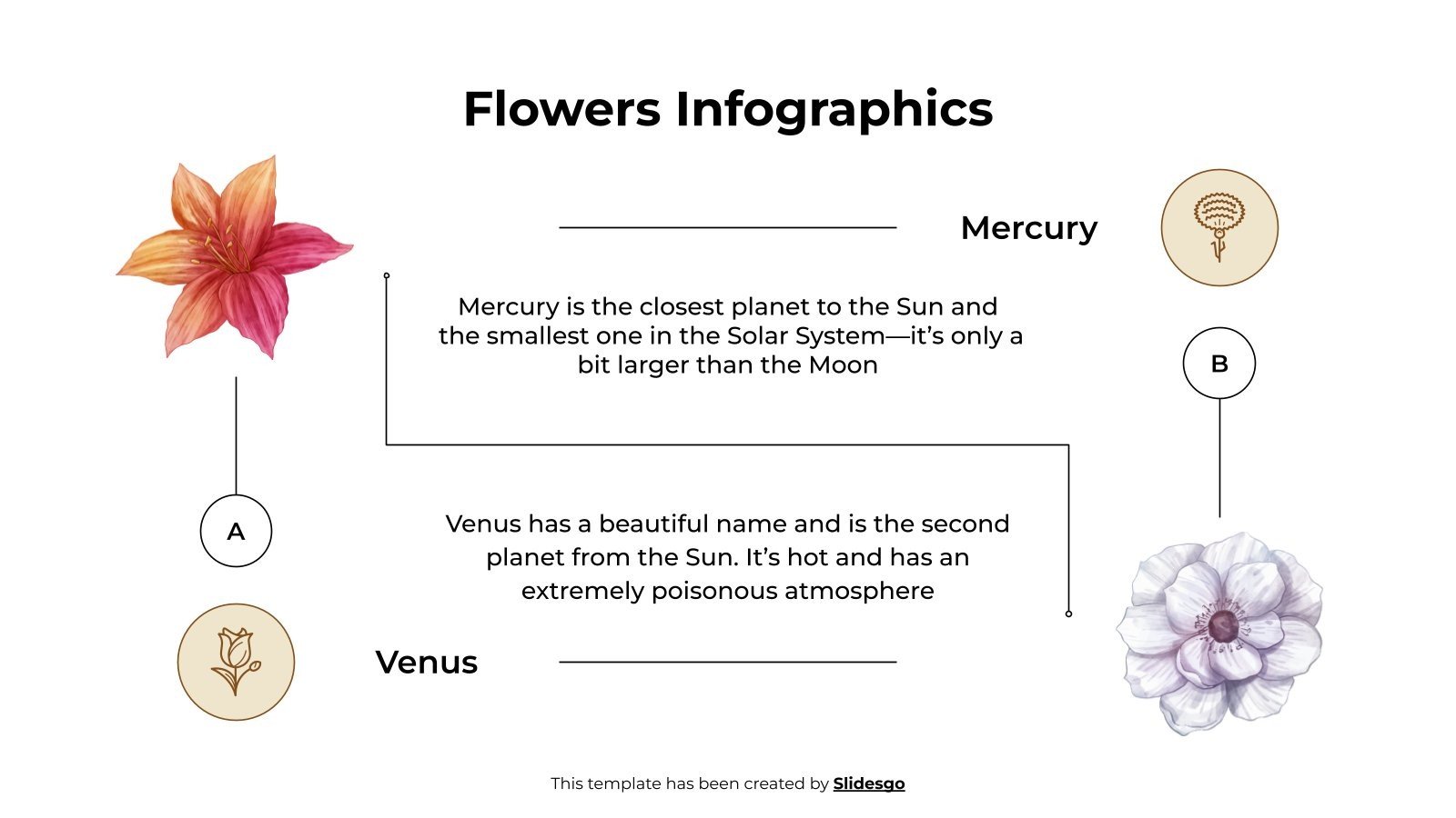 Flowers Infographics Template