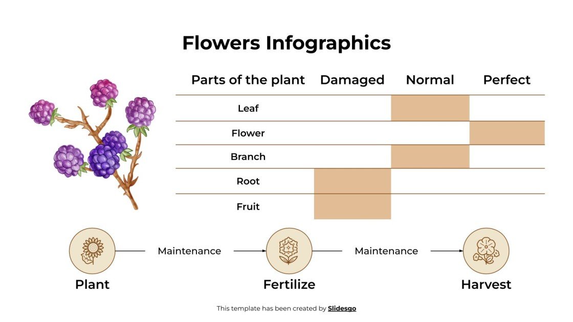 Flowers Infographics Template