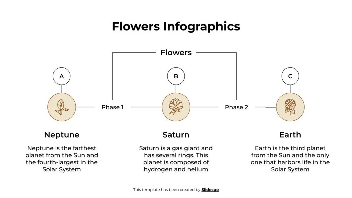 Flowers Infographics Template