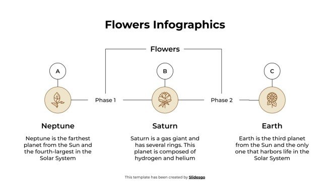 Flowers Infographics Template