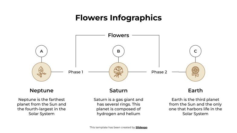 Flowers Infographics Template