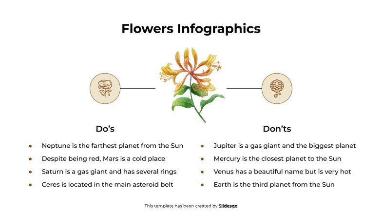 Flowers Infographics Template