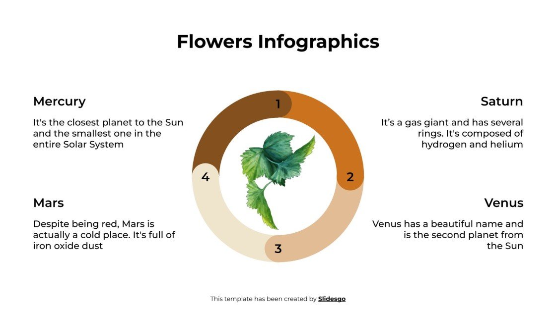 Flowers Infographics Template