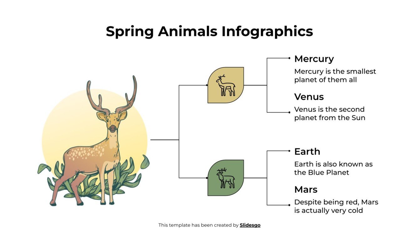Spring Animals Infographics Template