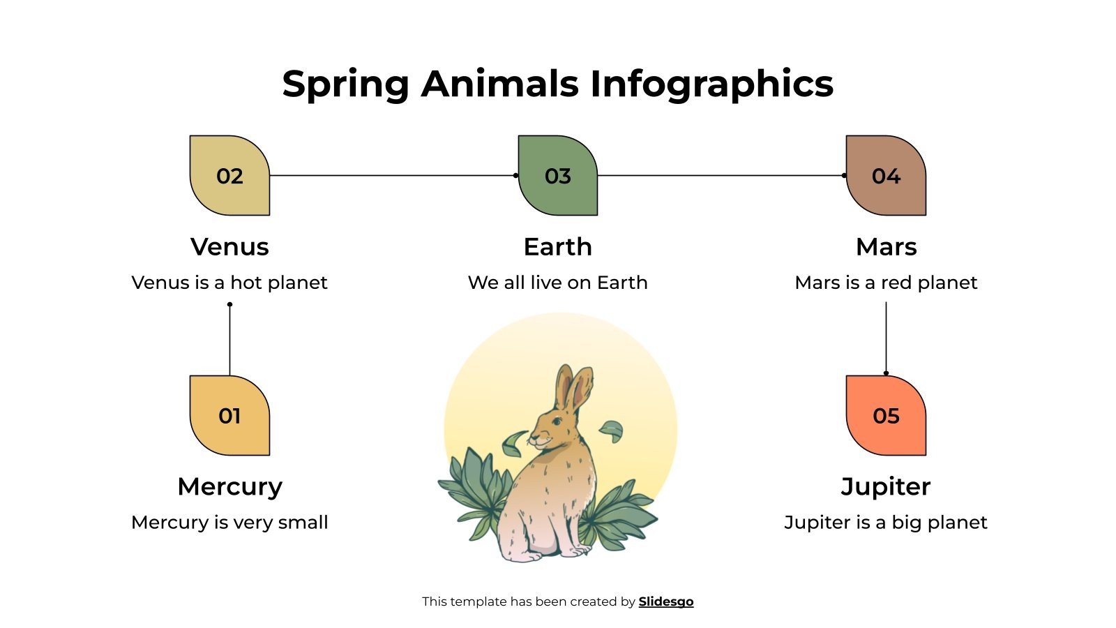 Spring Animals Infographics Template