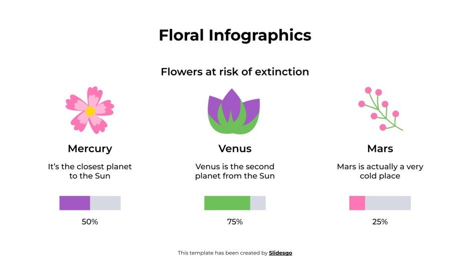 Floral Infographics Template